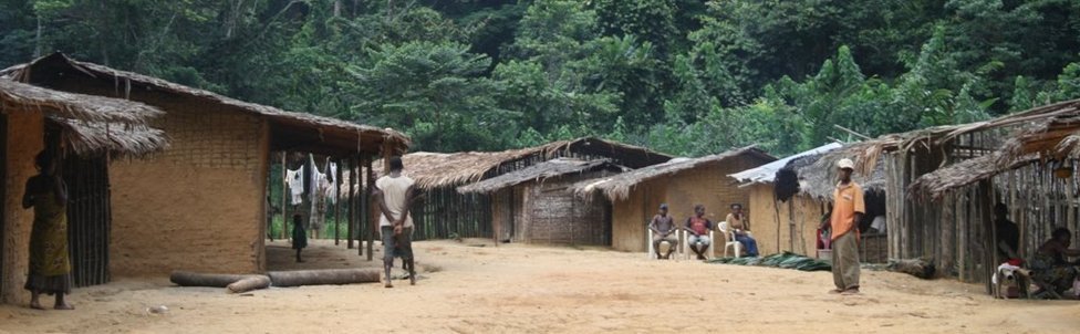 Volunteer Work Gabon | Free and Paid Volunteer Work Gabon