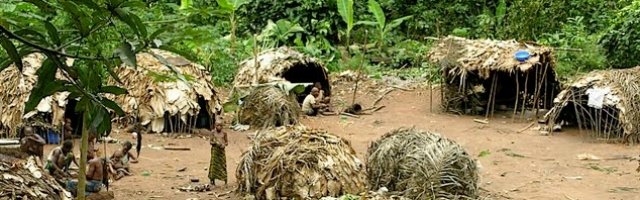 Pygmy People Facts ~ African Congo Pygmy People Facts