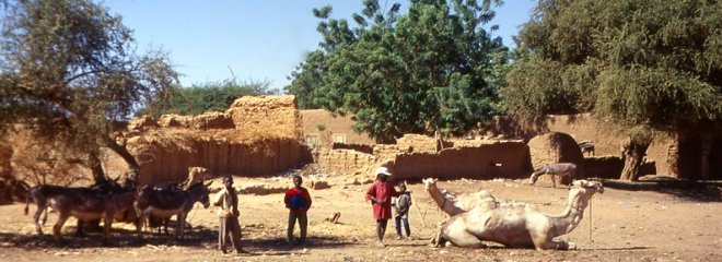 Life in Mali ~ Daily Life in Mali