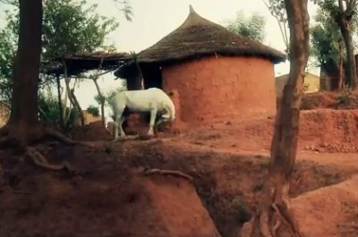 Life in Mali ~ Daily Life in Mali ~ Life Expectancy in Mali